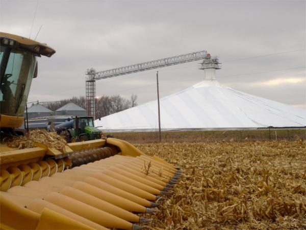 About DandyLand Farms Of Garner Iowa...